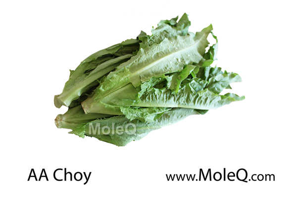 AA Choy – Moleq Inc. – Food Information