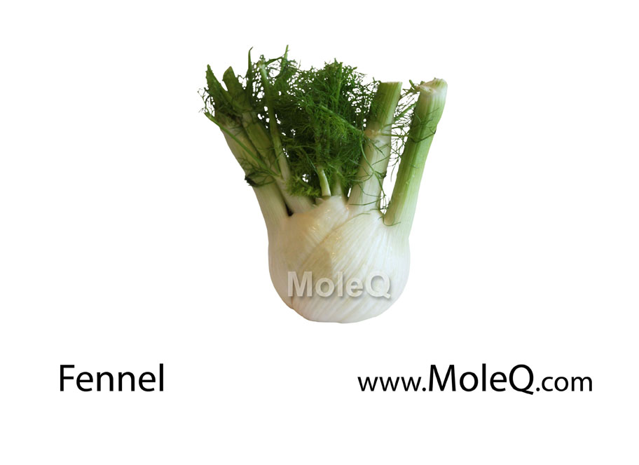 Fennel