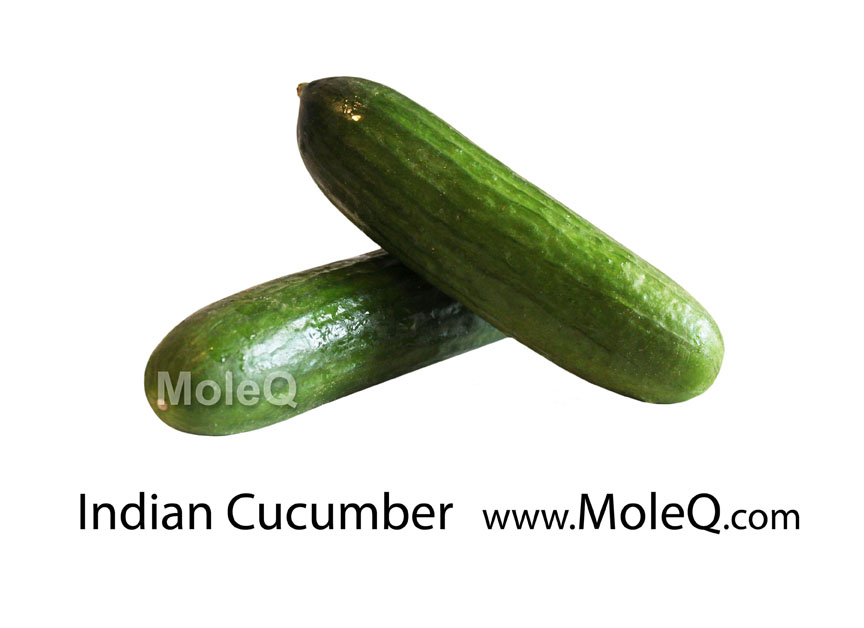 Indian Cucumber