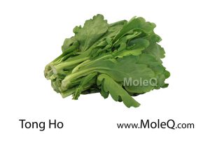 Tong Ho (Garland Chrysanthemum) – Moleq Inc. – Food Information