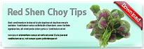 redshenchoytips-thum-en