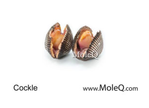 cockle: