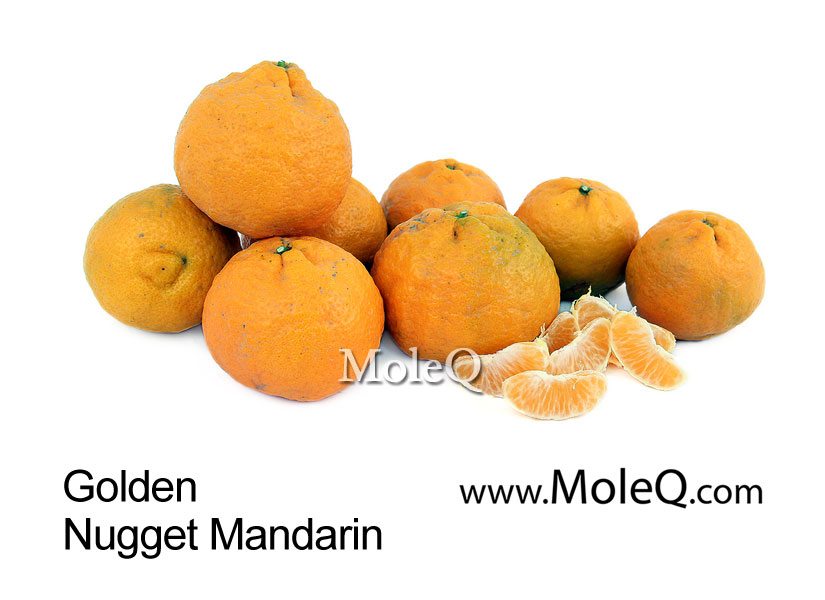 Golden Nugget Mandarin – Moleq Inc. – Food Information