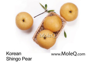 Korean Shingo Pear – Moleq Inc. – Food Information