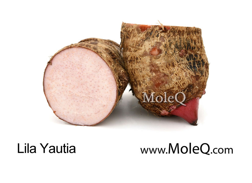 Yautia In English China's Yautia (cocoyam) Market Report 2025