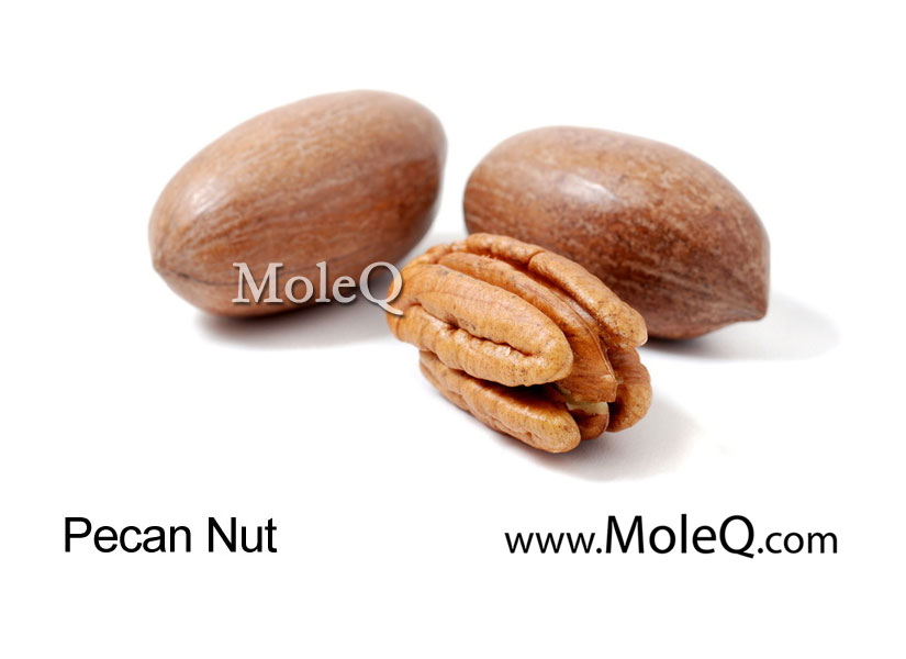 Pecan Nut: