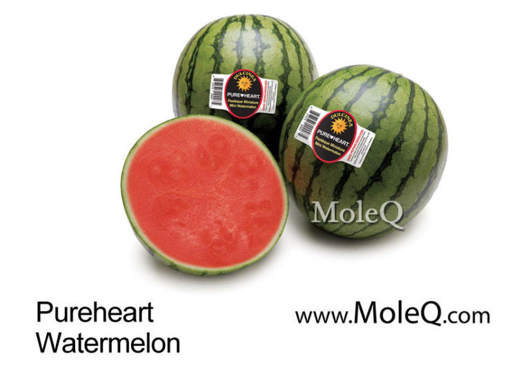 純心小西瓜（無籽）