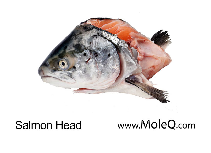 Salmon Head – Moleq Inc. – Food Information