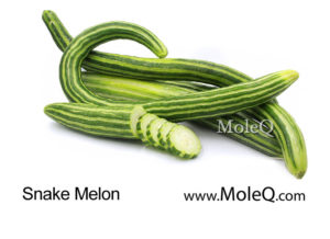 Snake Melon
