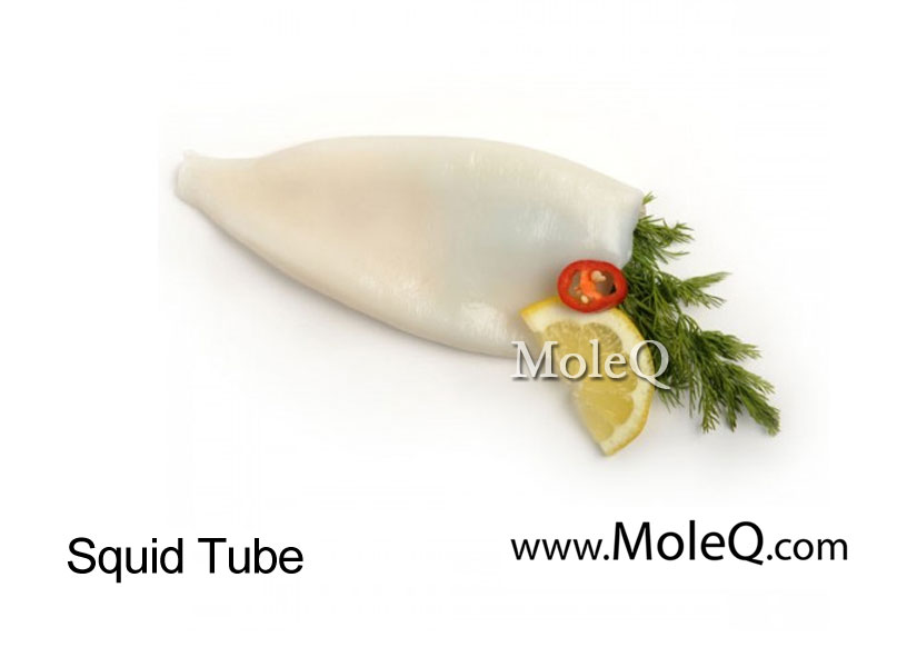 Squid Tube – Moleq Inc. – Food Information
