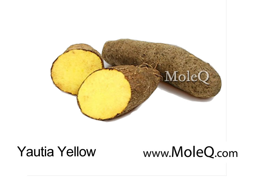 Yautia Amarilla