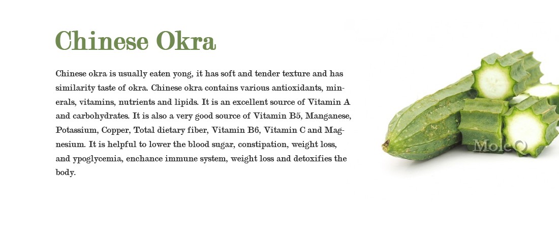 Chinese Okra – Moleq Inc. – Food Information
