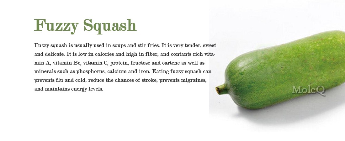 Fuzzy Squash (Hairy Gourd) – Moleq Inc. – Food Information