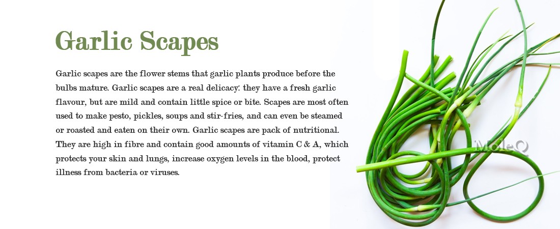 garlicscapes-thum-en