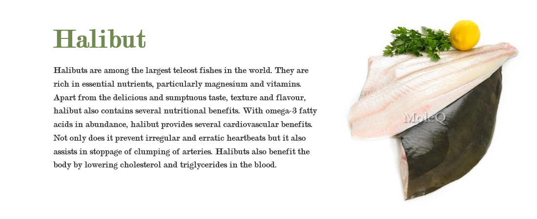 Halibut Fillet – Moleq Inc. – Food Information