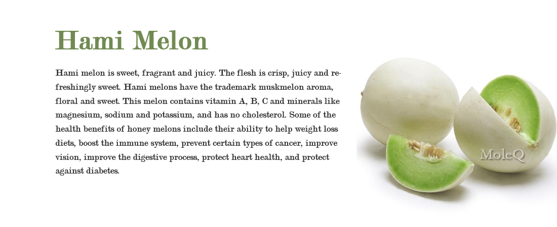 Hami Melon – Moleq Inc. – Food Information