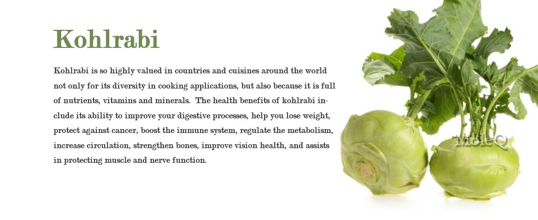 kohlrabi-thum-en