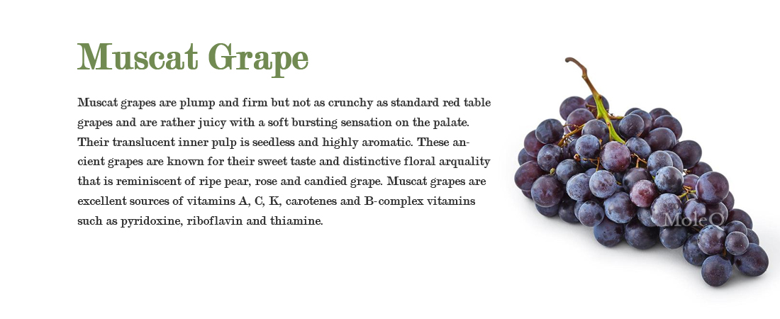 Muscat Grape – Moleq Inc. – Food Information