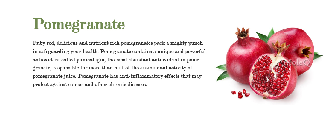 pomegranate-thum-en