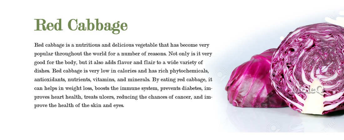 redcabbage-thum-en