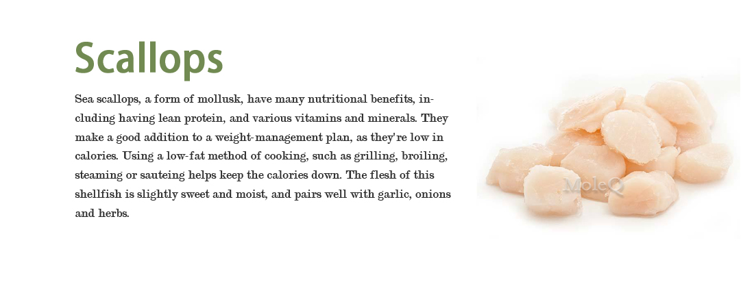 Scallops – Moleq Inc. – Food Information
