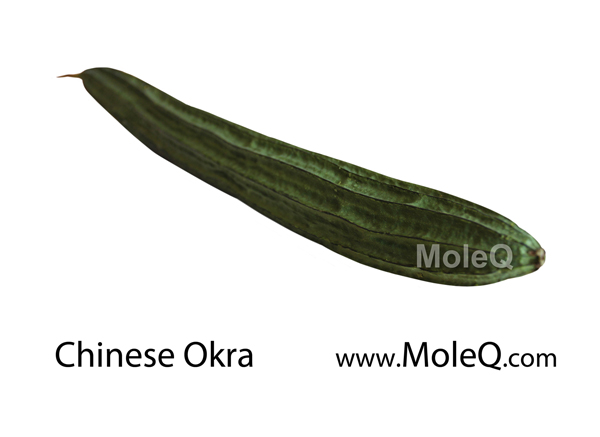 Chinese Okra – Moleq Inc. – Food Information
