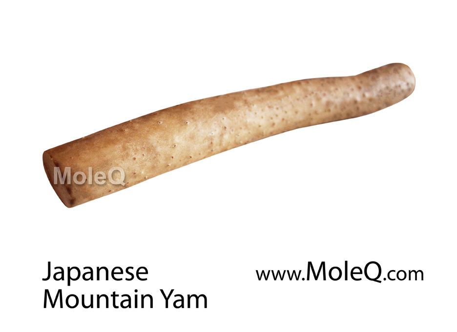 Japanese Mountain Yam – Moleq Inc. – Food Information