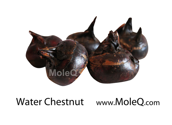 Water Chestnut – Moleq Inc. – Food Information