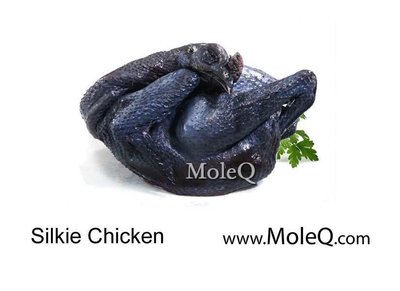 Silkie Chicken – Moleq Inc. – Food Information