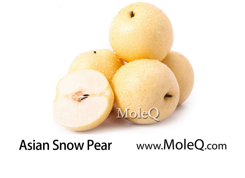 Asian Snow Pear – Moleq Inc. – Food Information