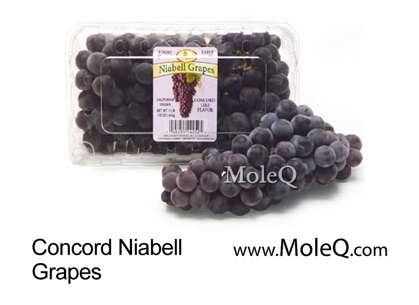 Concord Niabell Grapes – Moleq Inc. – Food Information