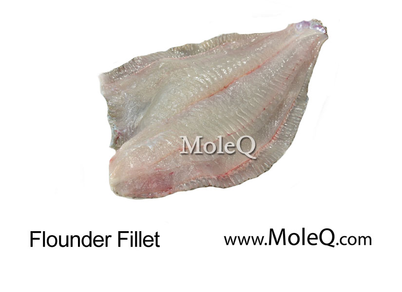 Flounder Fillet