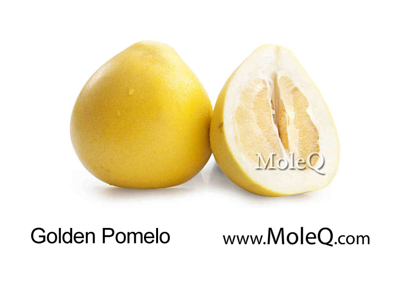 Golden Pomelo – Moleq Inc. – Food Information