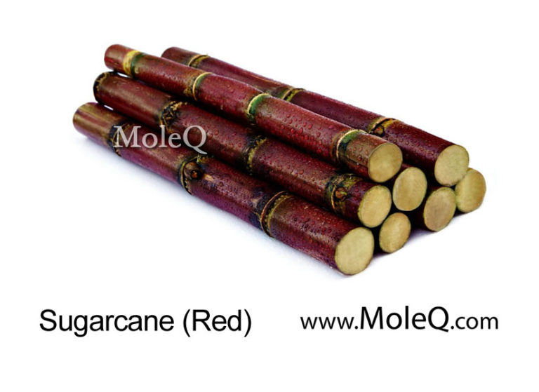 Sugarcane (Red) – Moleq Inc. – Food Information