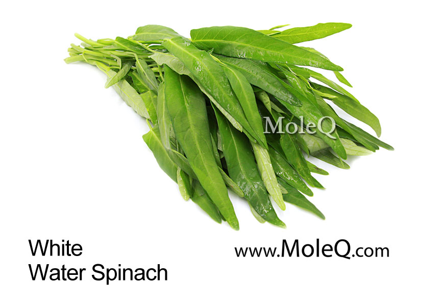 White Water Spinach